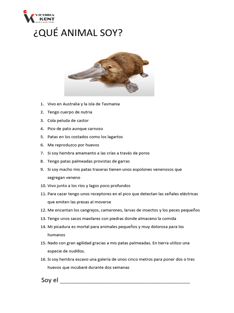 Qué Animal Soy | PDF