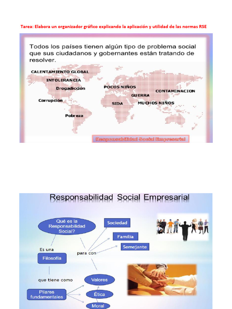 Organizador Grafico RSE | PDF