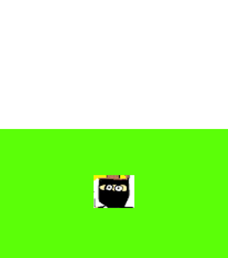 Z Green Screen | PDF