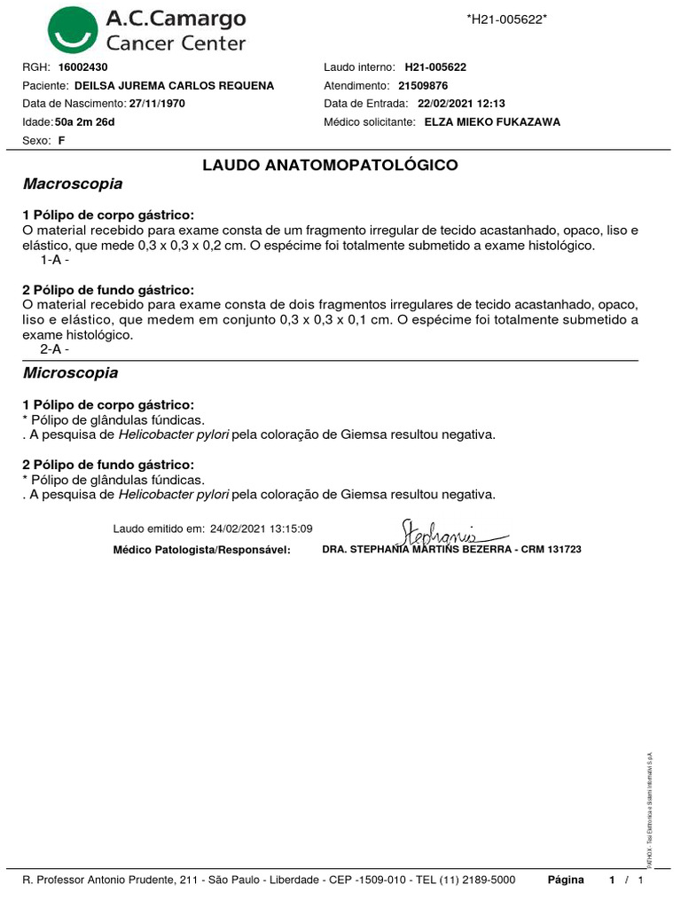 Laudo Anatomopatologico 22.02 | PDF