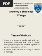 Class 9th Animal Tissue Notes | PDF | Epithelium | Muscle