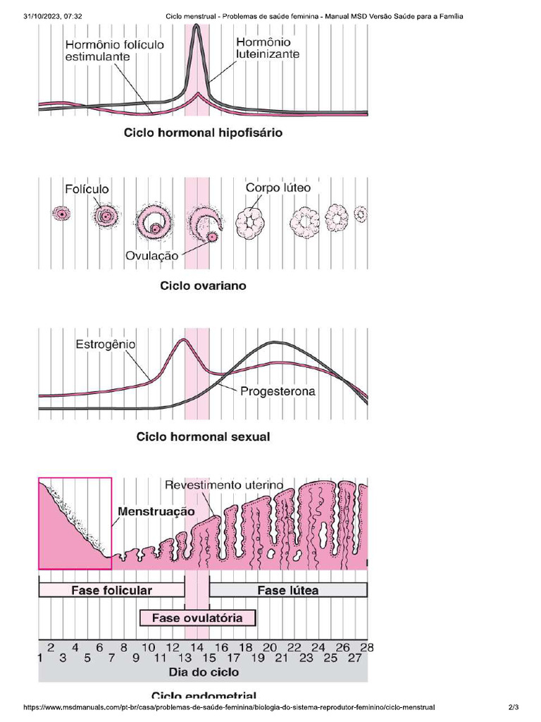 Fases Do Ciclo | PDF