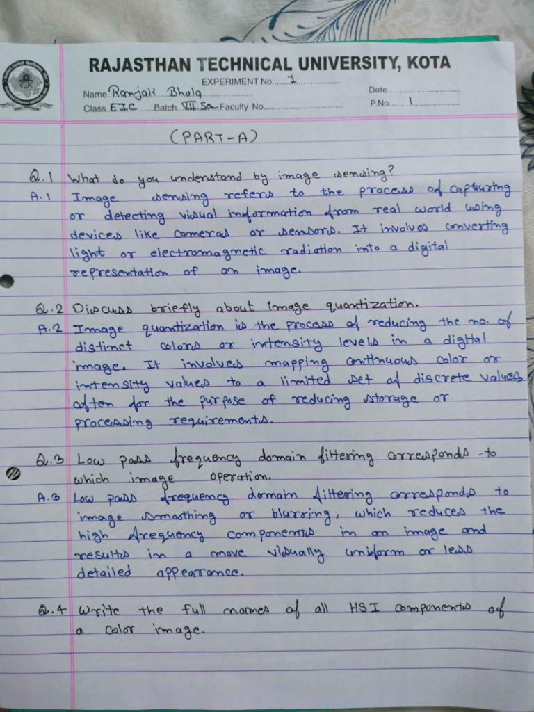 DIVP Assignment | PDF