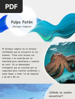 Panopea Generosa | PDF | Bivalvia