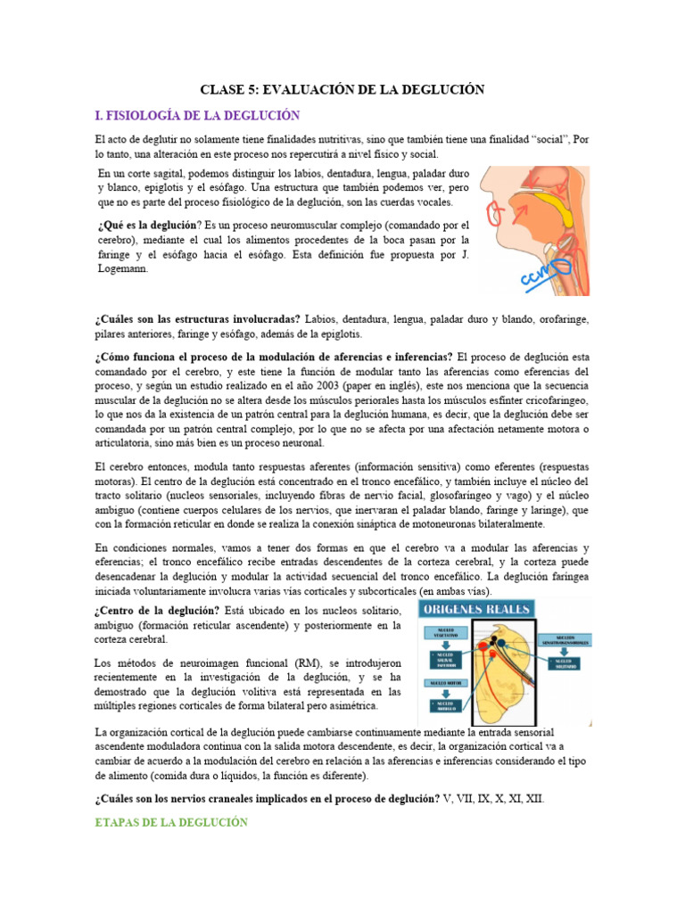 Evaluación de La Deglución | PDF