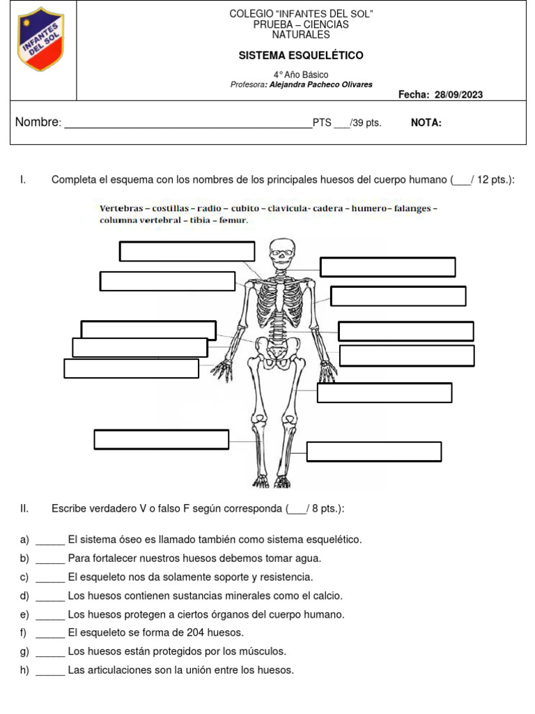 Prueba de Sistema Oseo 4° Basico | PDF | Esqueleto | Hueso