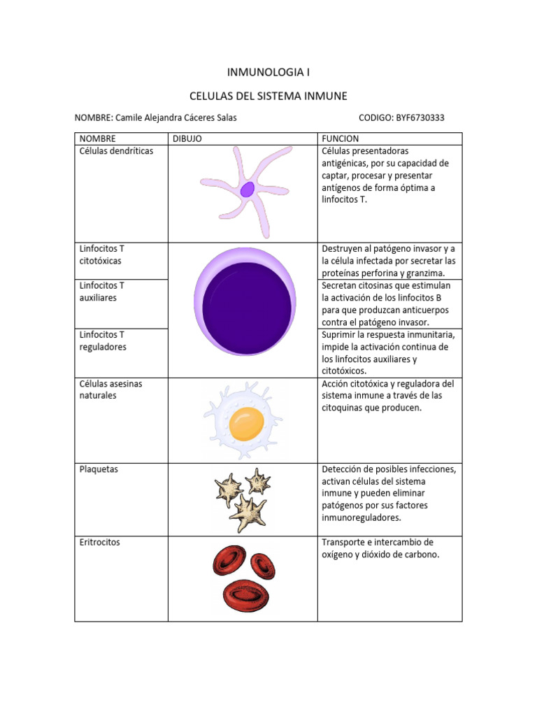 Celulas Del Sistema Inmune | PDF | Sistema inmune | Inflamación