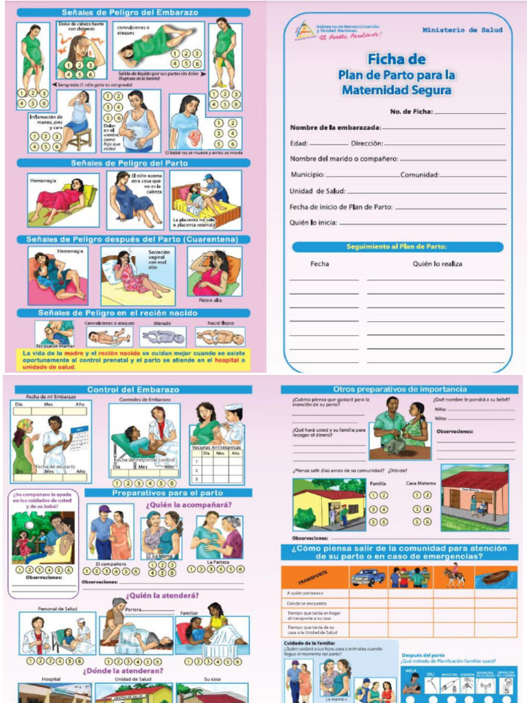 formato de plan de parto - de campo | PDF