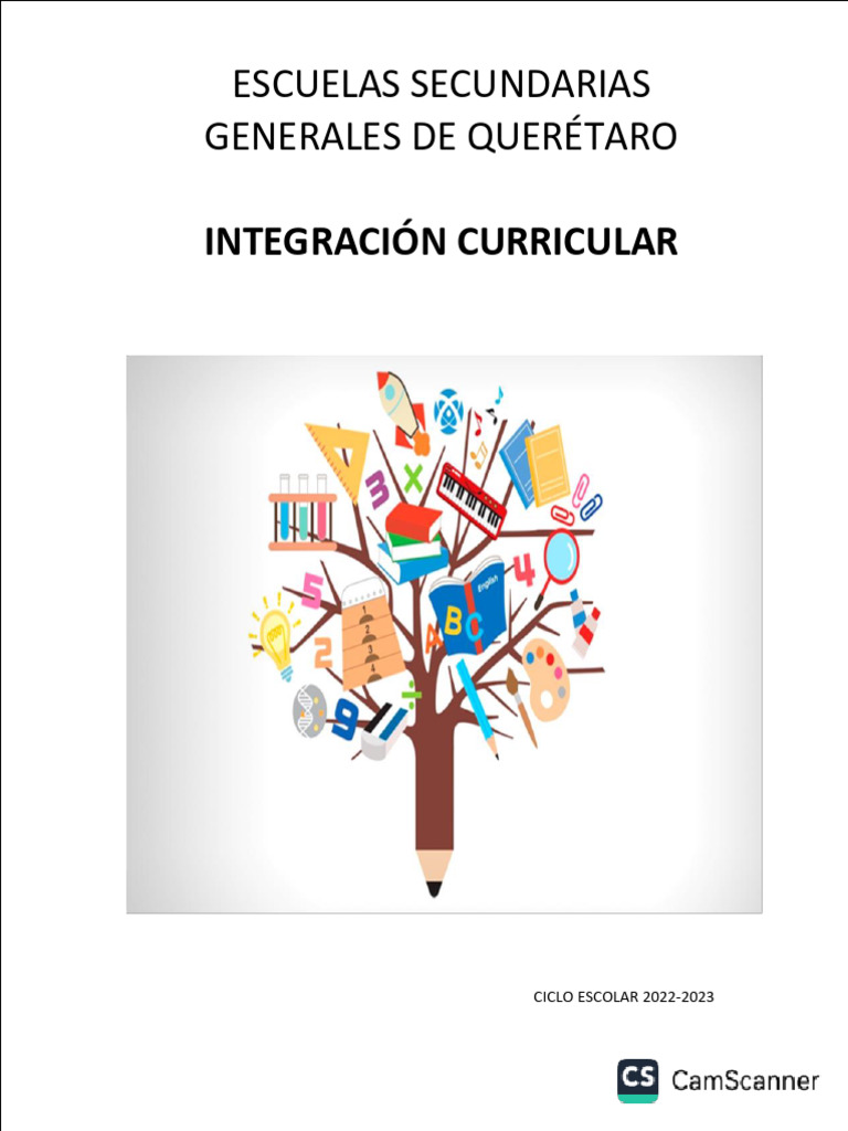 Integración Curricular 260623 | PDF | Las emociones | Plan de estudios