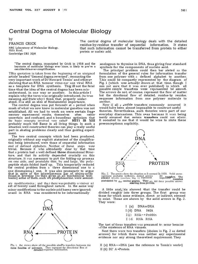 Crick Central Dogma 1970 | PDF | Dna | Virus