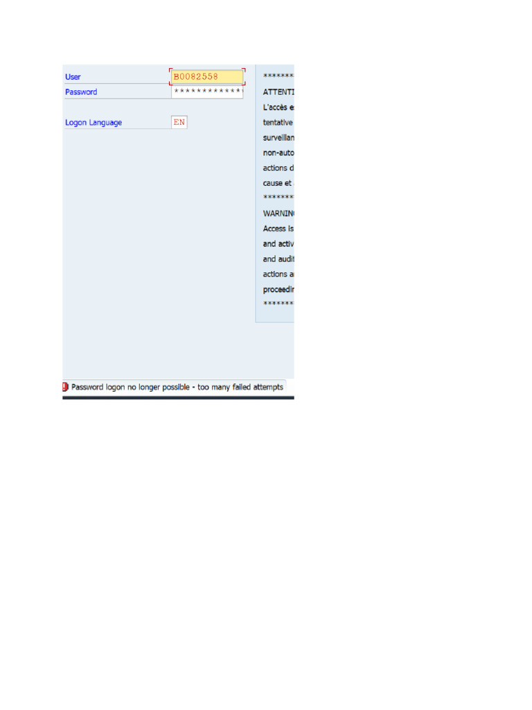 Sap Issue Pdf