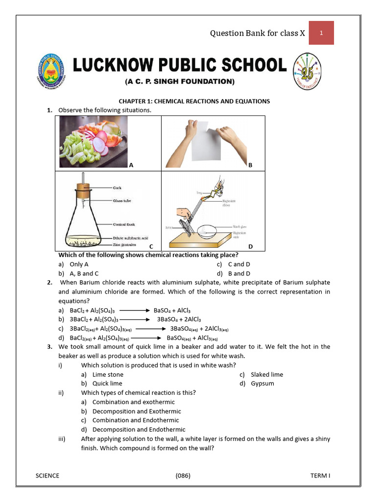 Question Bank For Class X (SCIENCE) | PDF | Redox | Chlorine