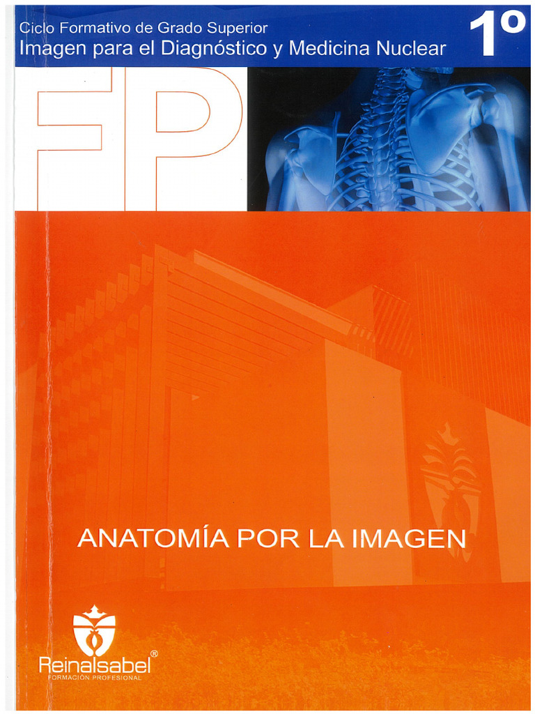 Anatomia | PDF