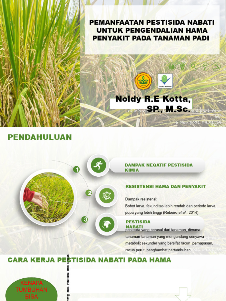 Pestisida Nabati Untuk Pengendalian Opt Padi | PDF
