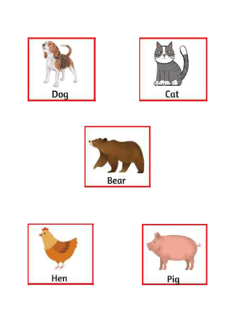 Animals | PDF