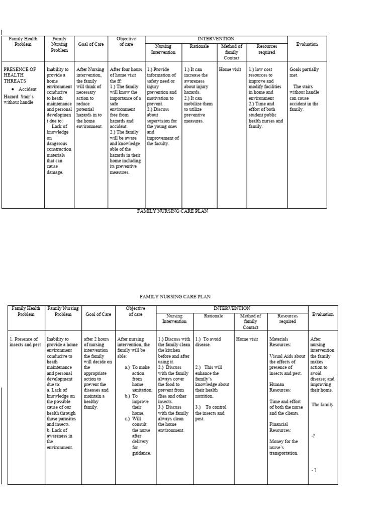 FNCP Sample Docu | Download Free PDF | Nursing | Hazards