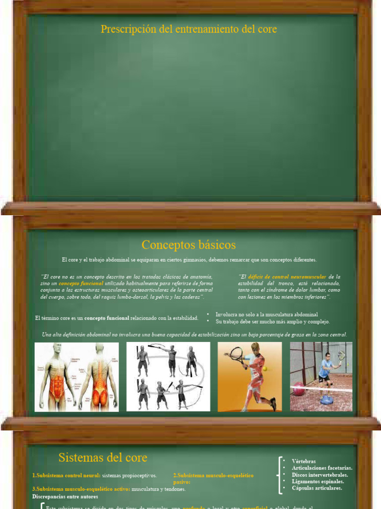 Core | PDF | Músculo esquelético | Abdomen