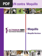 Actinmun Descripción General | PDF | Relaciones personales, crianza y ...