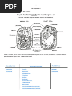 Cellular - Transport - Study - Guide - Answer Key | PDF | Osmosis ...