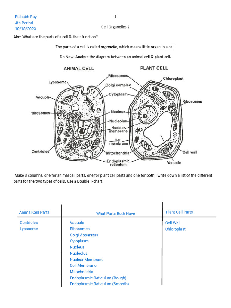 Kami Export - Rishabh Roy - Cell Organelles 2 | PDF | Cell (Biology ...