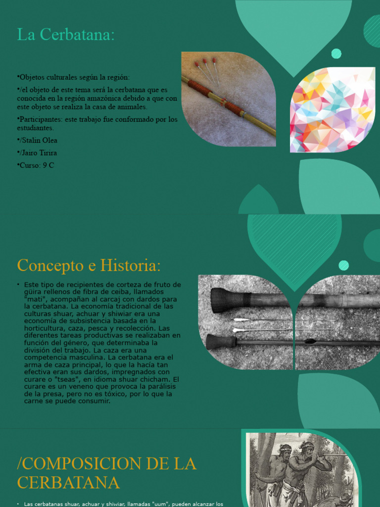 La Cerbatana: Historia y Uso Cultural | PDF | Hogar, jardinería y bricolaje