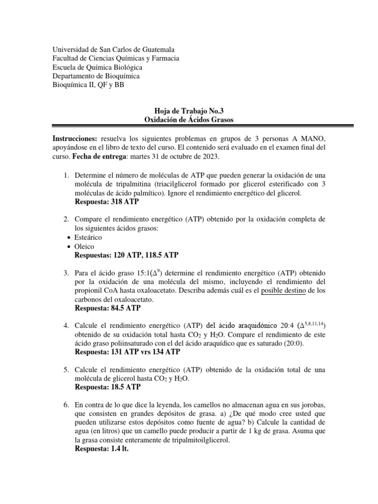 HDT 3. Oxidación de Ácidos Grasos 2023 | PDF | Ácido graso | Triglicéridos