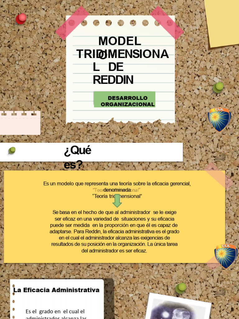 Modelo Tridimensional Reddin | PDF