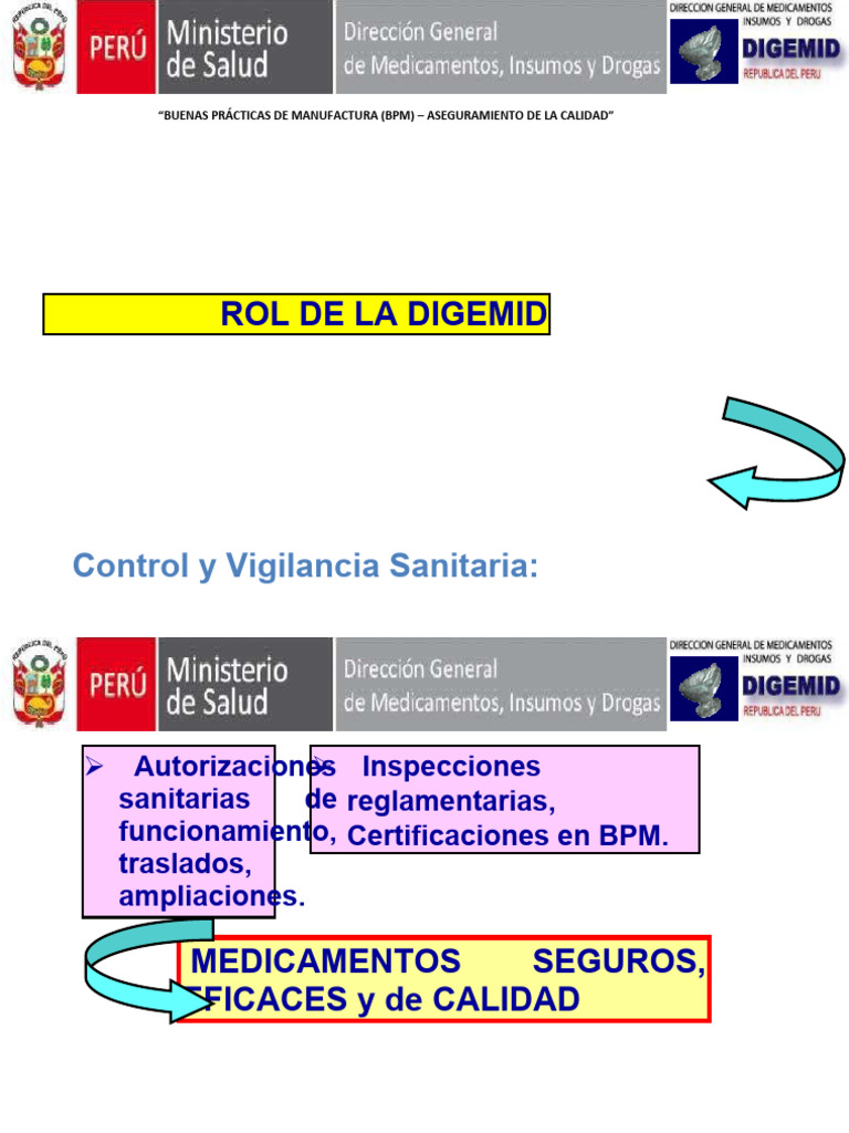 Buenas Prácticas de Manufactura y DIGEMID | PDF | Calidad (comercial) | Auditoría