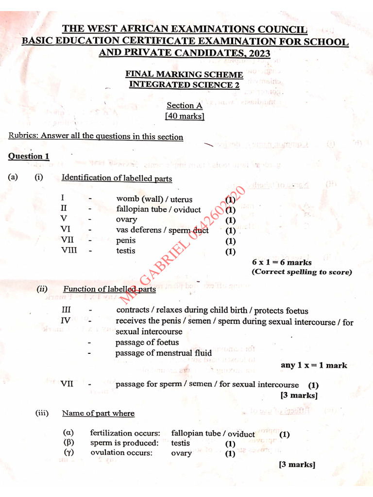 BECE 2023 Science Questions & Answers | PDF