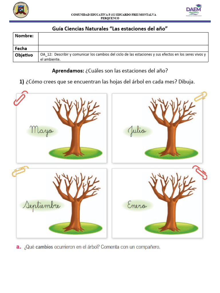 Guía Las Estaciones Del Año 1° Basico | PDF