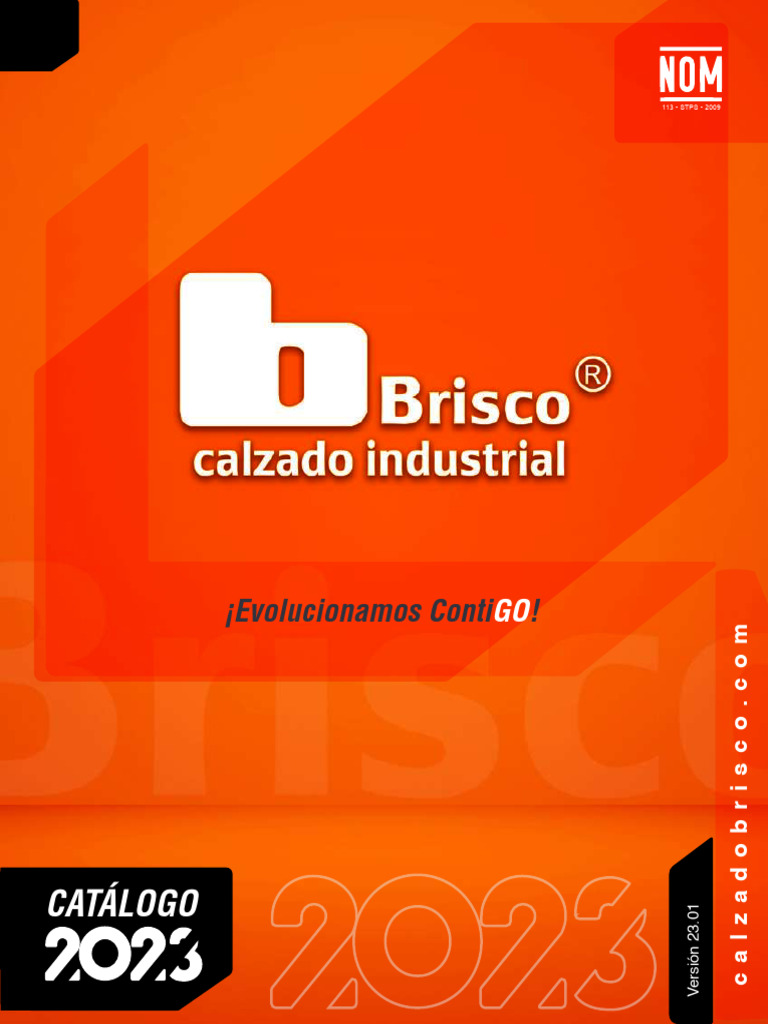 Brisco - CAT 2023 | PDF | Calidad (comercial) | Business