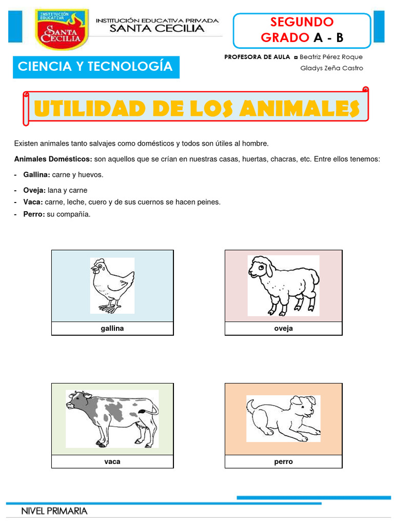 Segundo Grado - Semana 28 | PDF | Carne