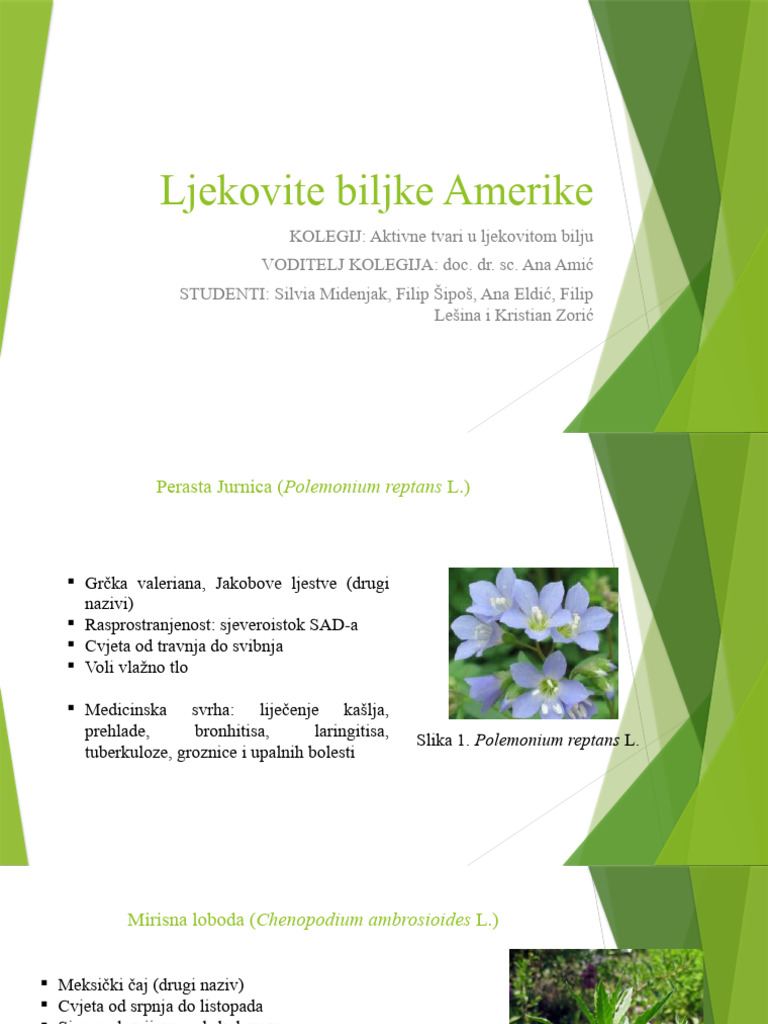 Ljekovite Biljke Amerike | PDF