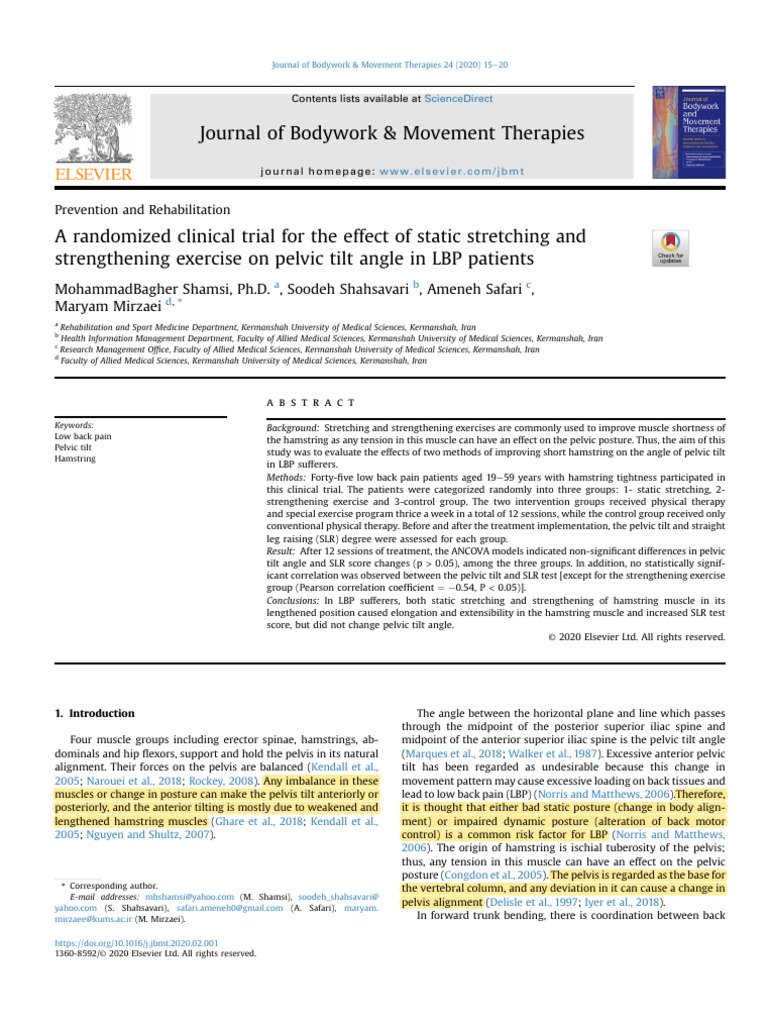 Artigo Grupo 1 | PDF | Physical Therapy | Pelvis