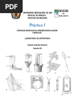 Guía de Colecta y Preservación de Insectos | PDF | Insectos | Taxonomía ...