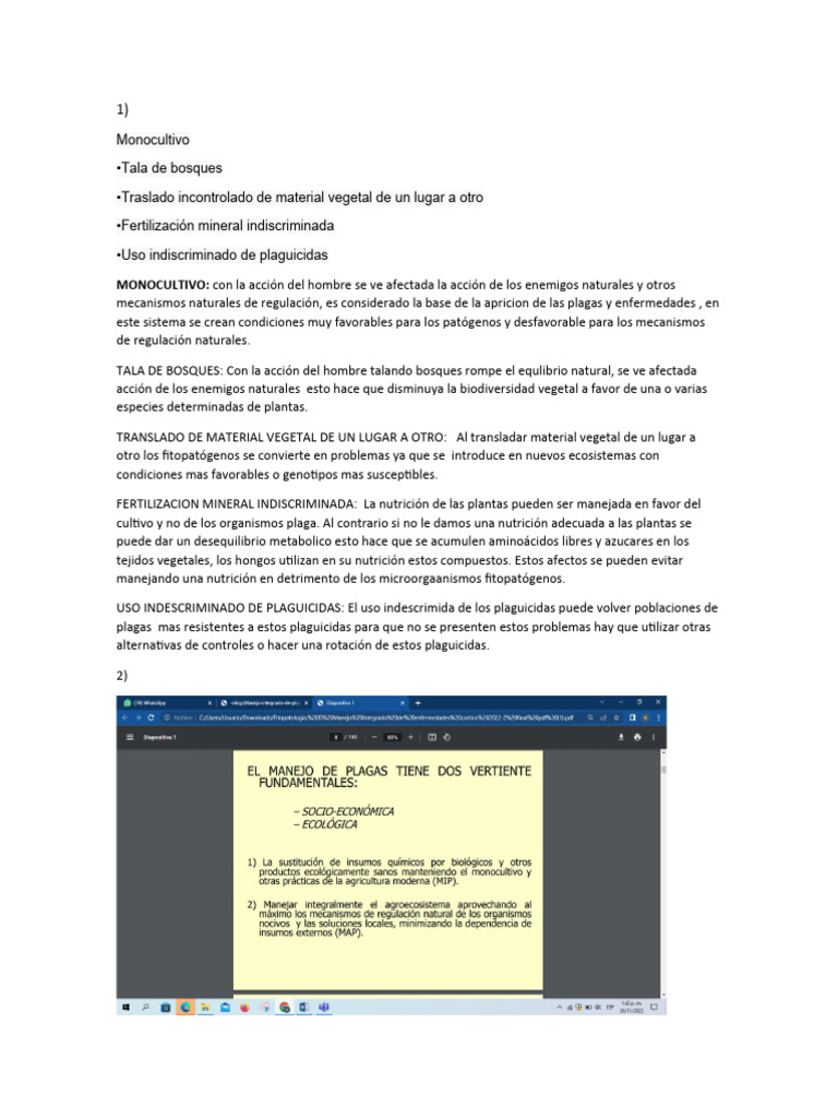 Taller de Fito 1 | PDF | Pesticida | Plaga (organismo)