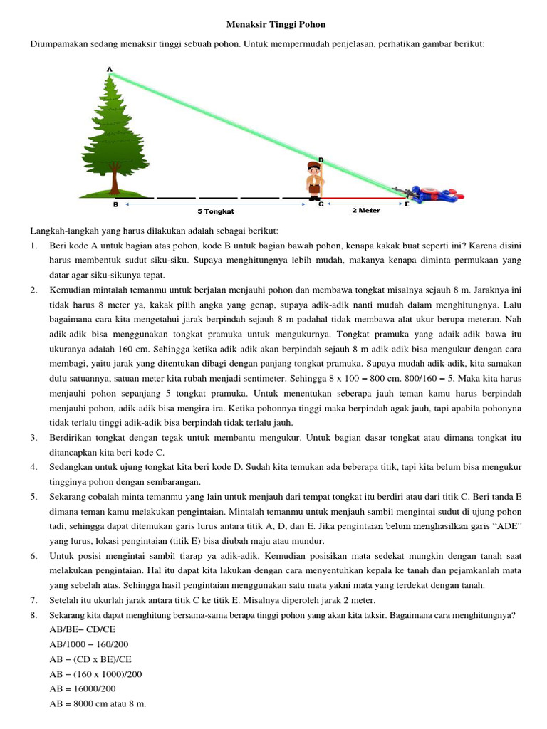 Menaksir Tinggi | PDF