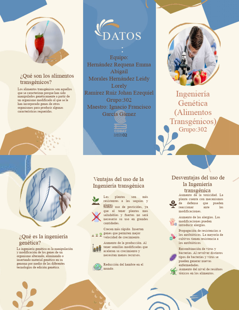 Triptico Alimentos Transgenicos | PDF | Organismo genéticamente ...