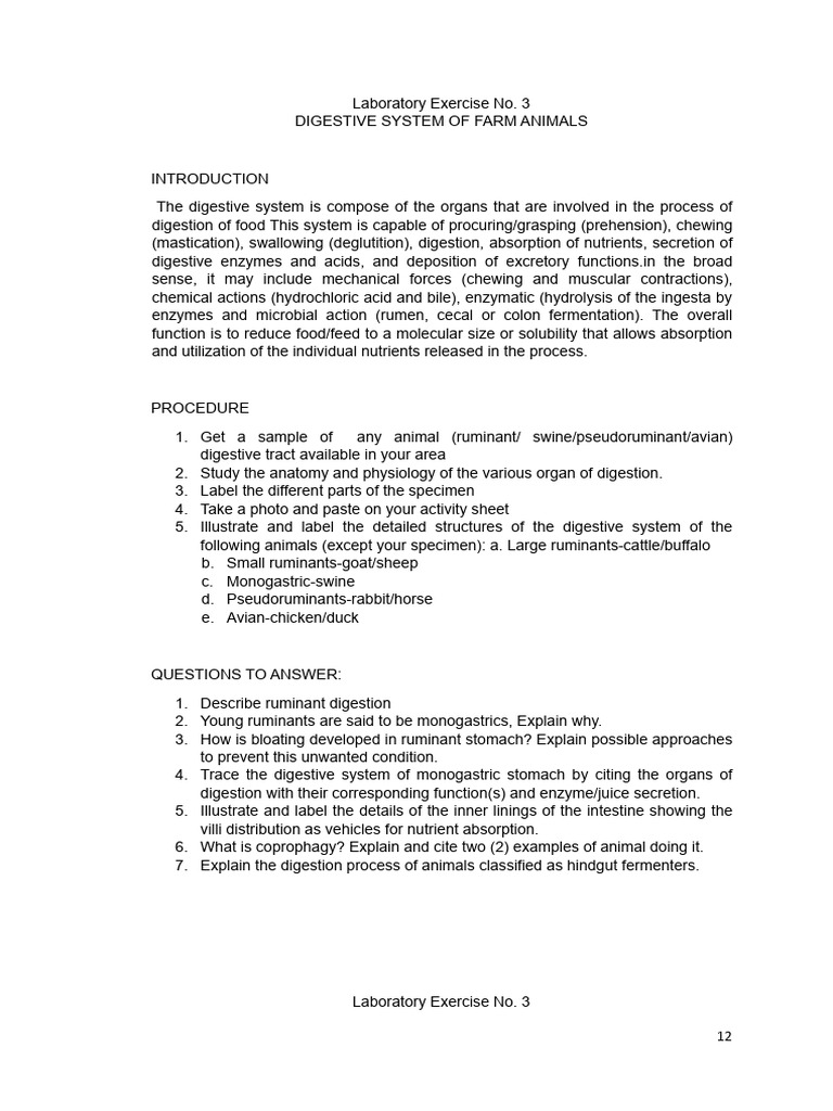 Lab Ex 3 C | PDF | Digestion | Ruminant