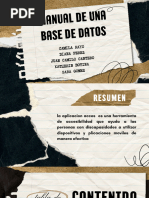 Niveles de Acceso | PDF | Bases de datos | Edad de información