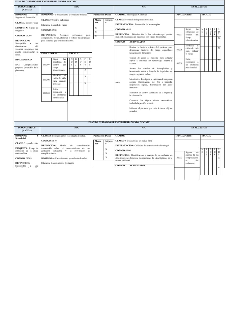 Plan de Cuidados de Enfermeria Nanda Noc Nic | PDF | Dolor | El embarazo