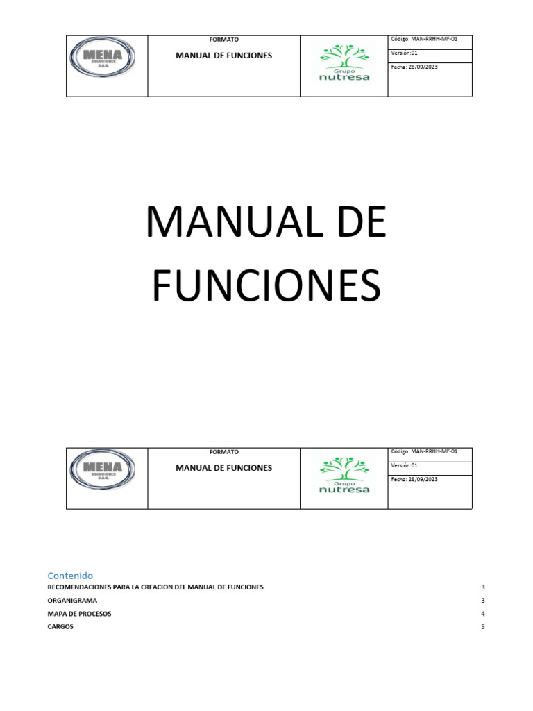.Manual de Funciones | PDF | Logística | Planificación