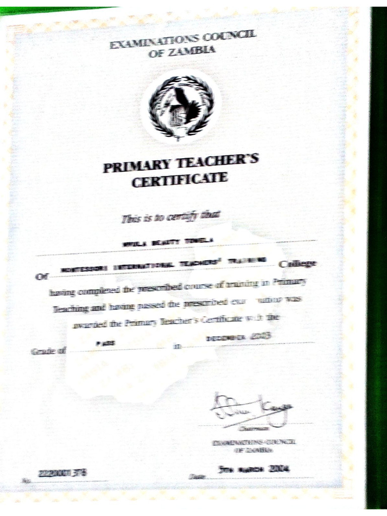 Professional Documents | PDF