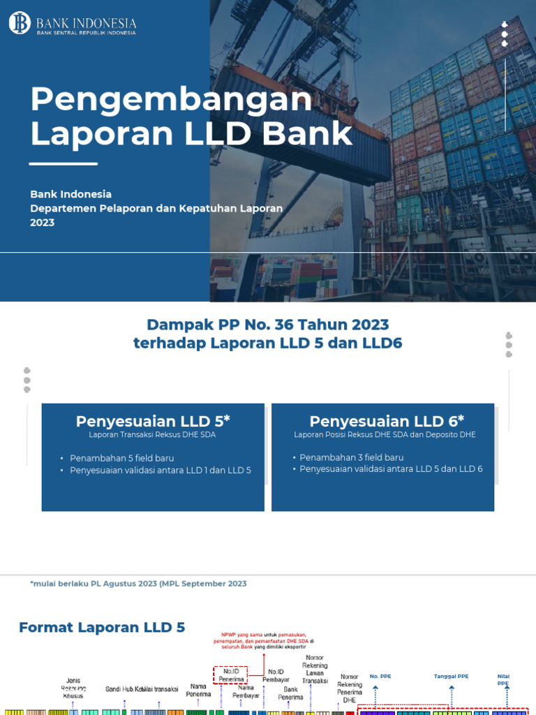Materi Sosialisasi Penyesuaian Laporan LLD Bank Terkait DHE SDA | PDF