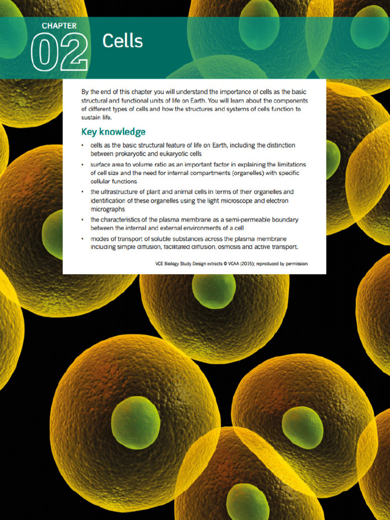 Cell | PDF