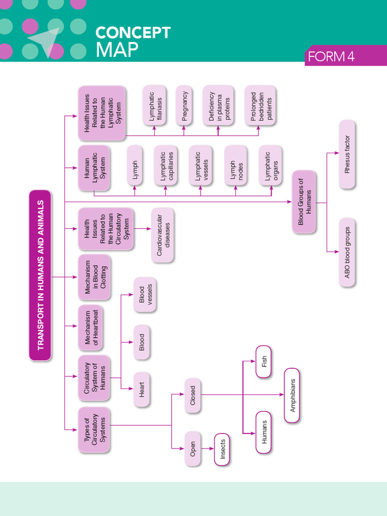 F4C10 Concept Map | PDF | Lymph | Circulatory System