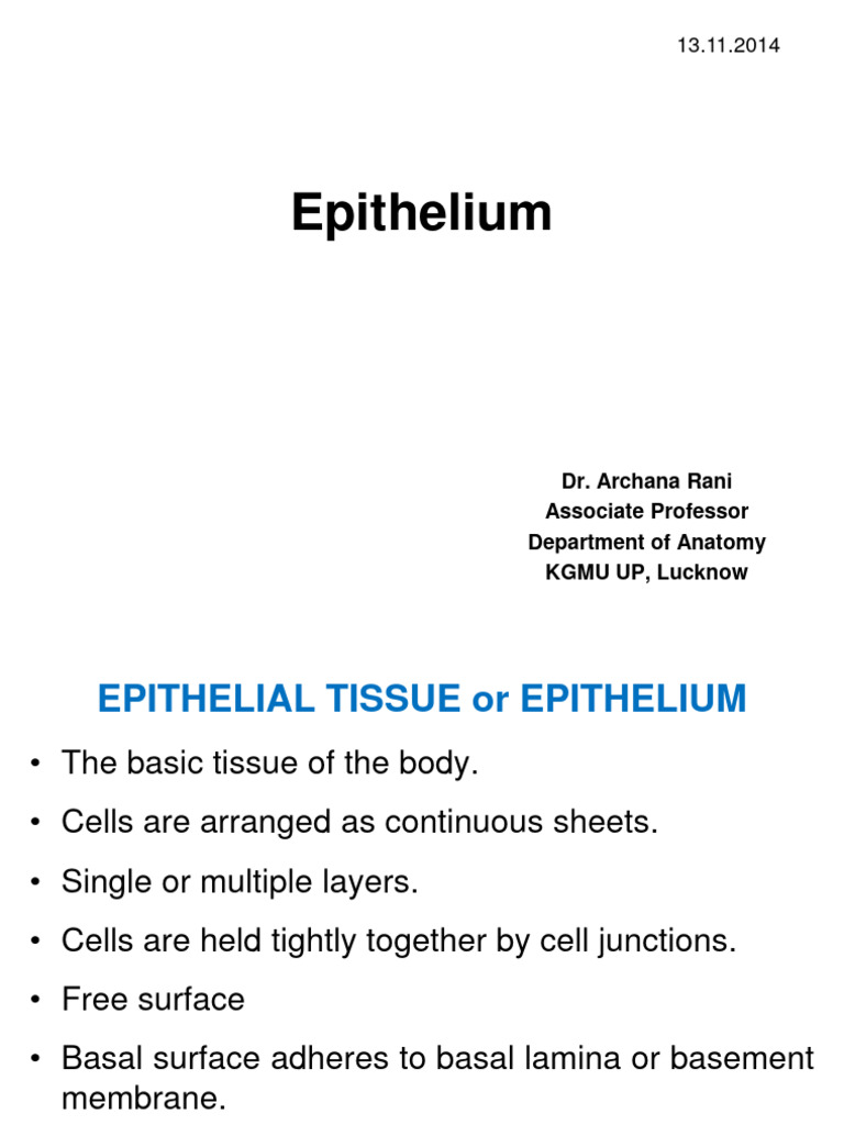 A Epithelial - Tissue1 16 12 14 | PDF | Epithelium | Human Anatomy