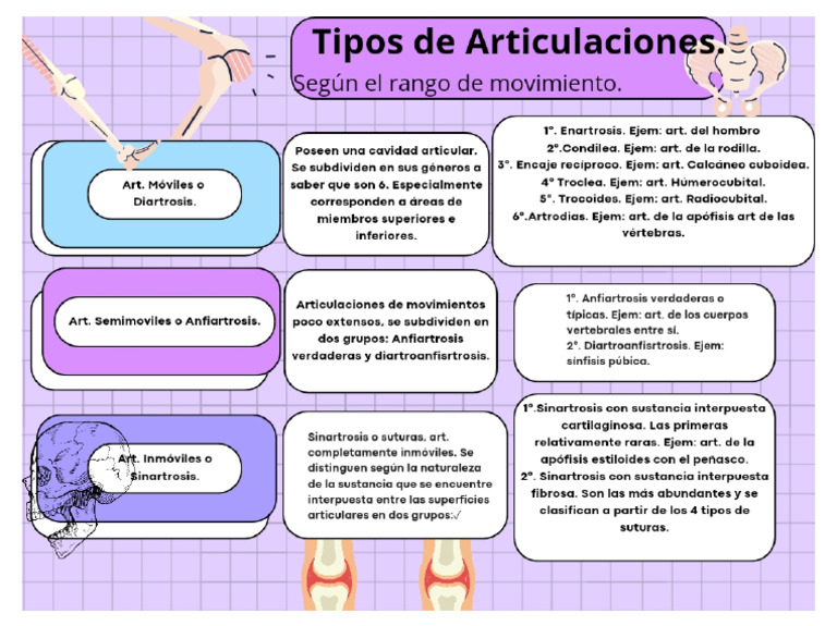 Tipos de Articulaciones | PDF