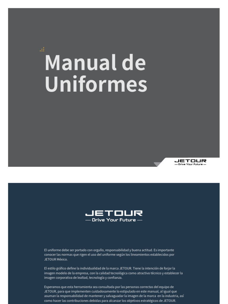 Manual Uniformes Jetour | PDF | Color