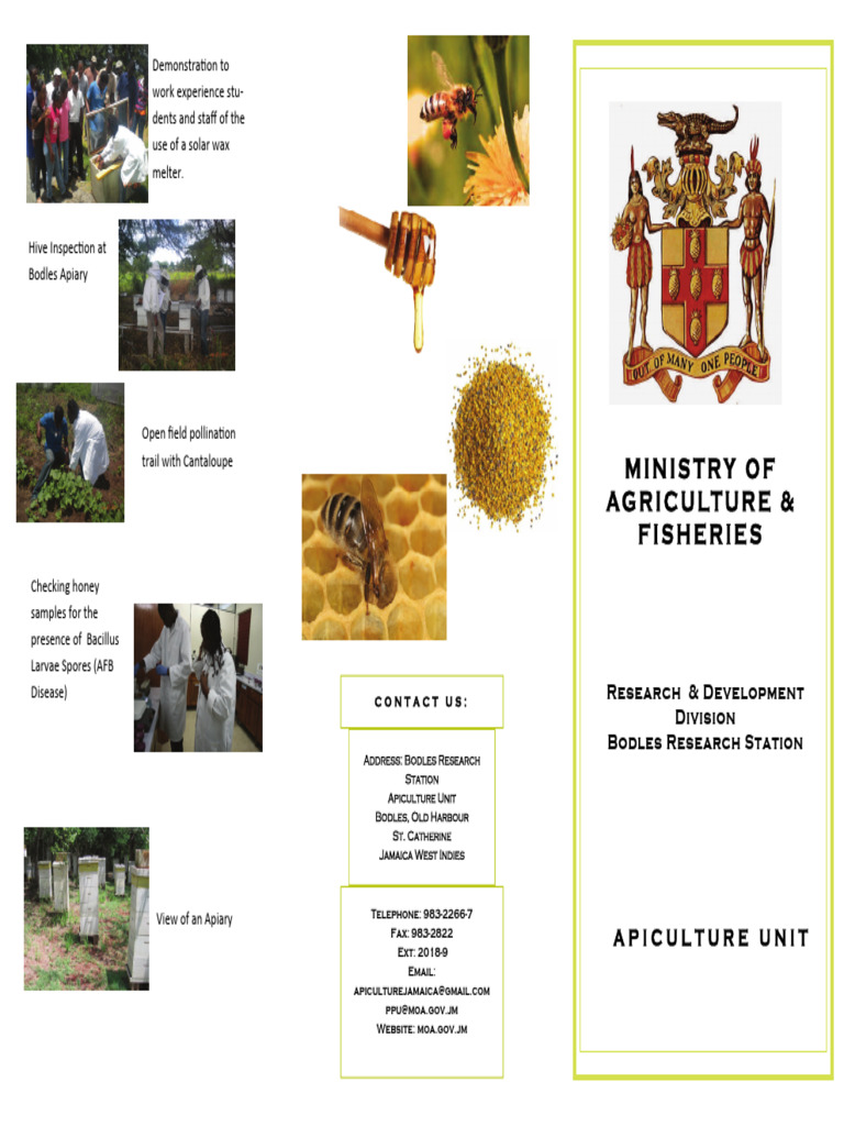 Apiculture Unit Brochure | PDF | Beekeeping | Bees